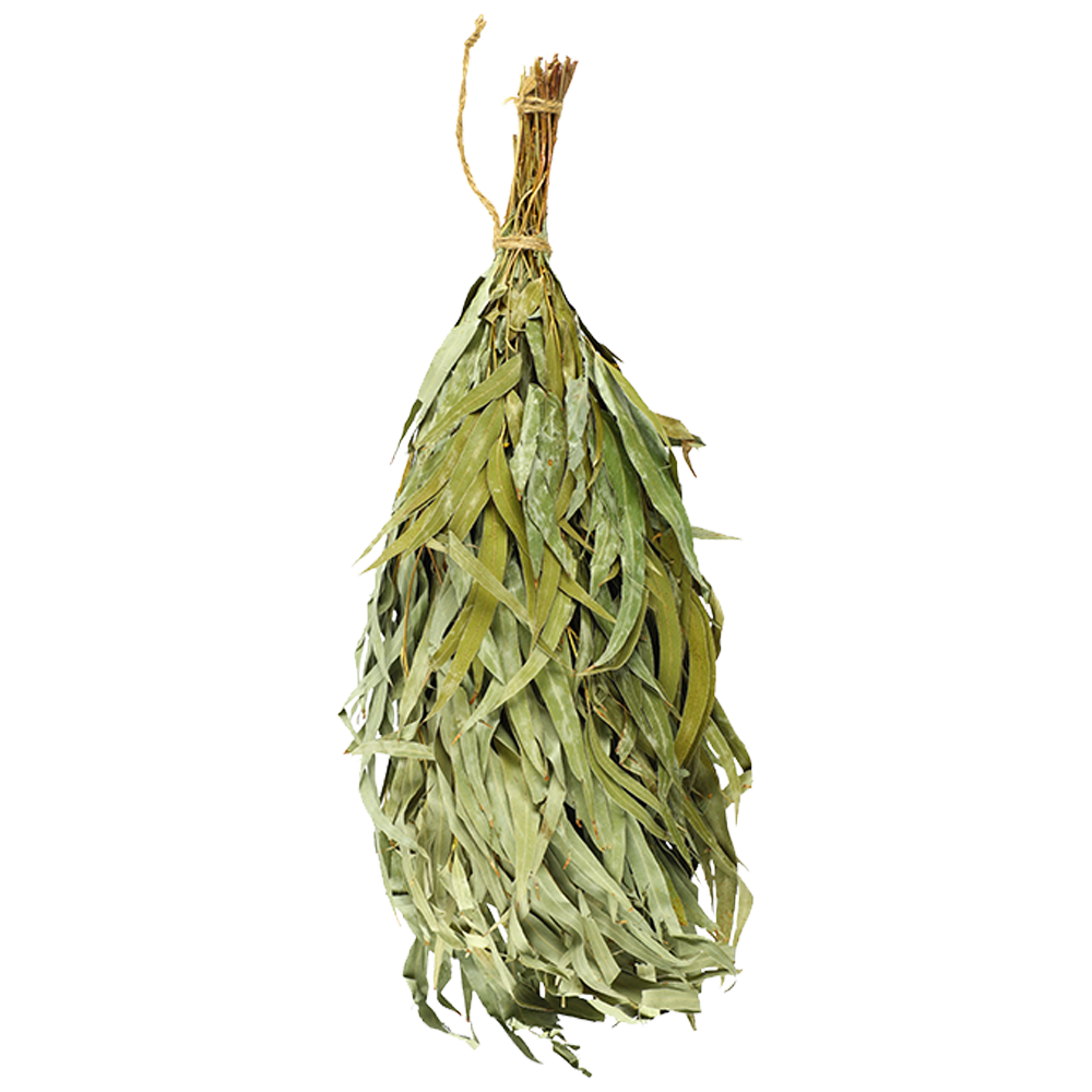 Rento Eucalyptus Vihta – Touch of Finland